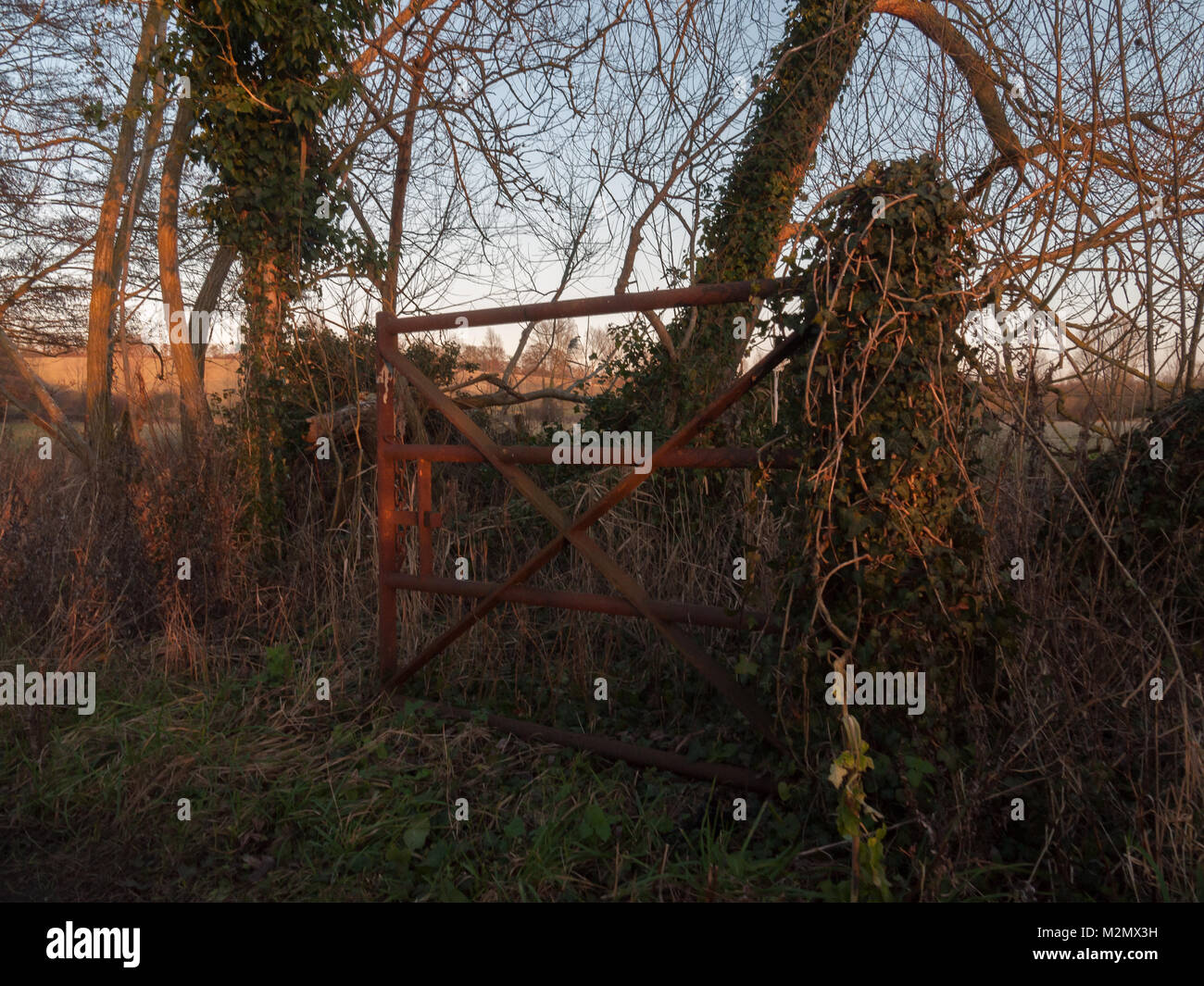Hinge corroded hi-res stock photography and images - Alamy