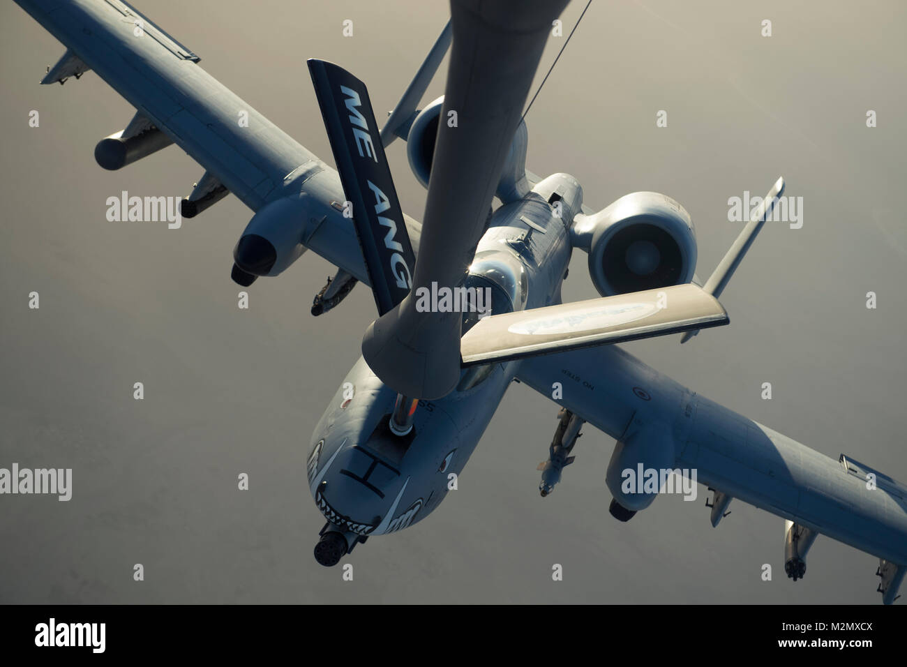 A U.S. Air Force A-10 Thunderbolt II receives fuel from a KC-135 ...