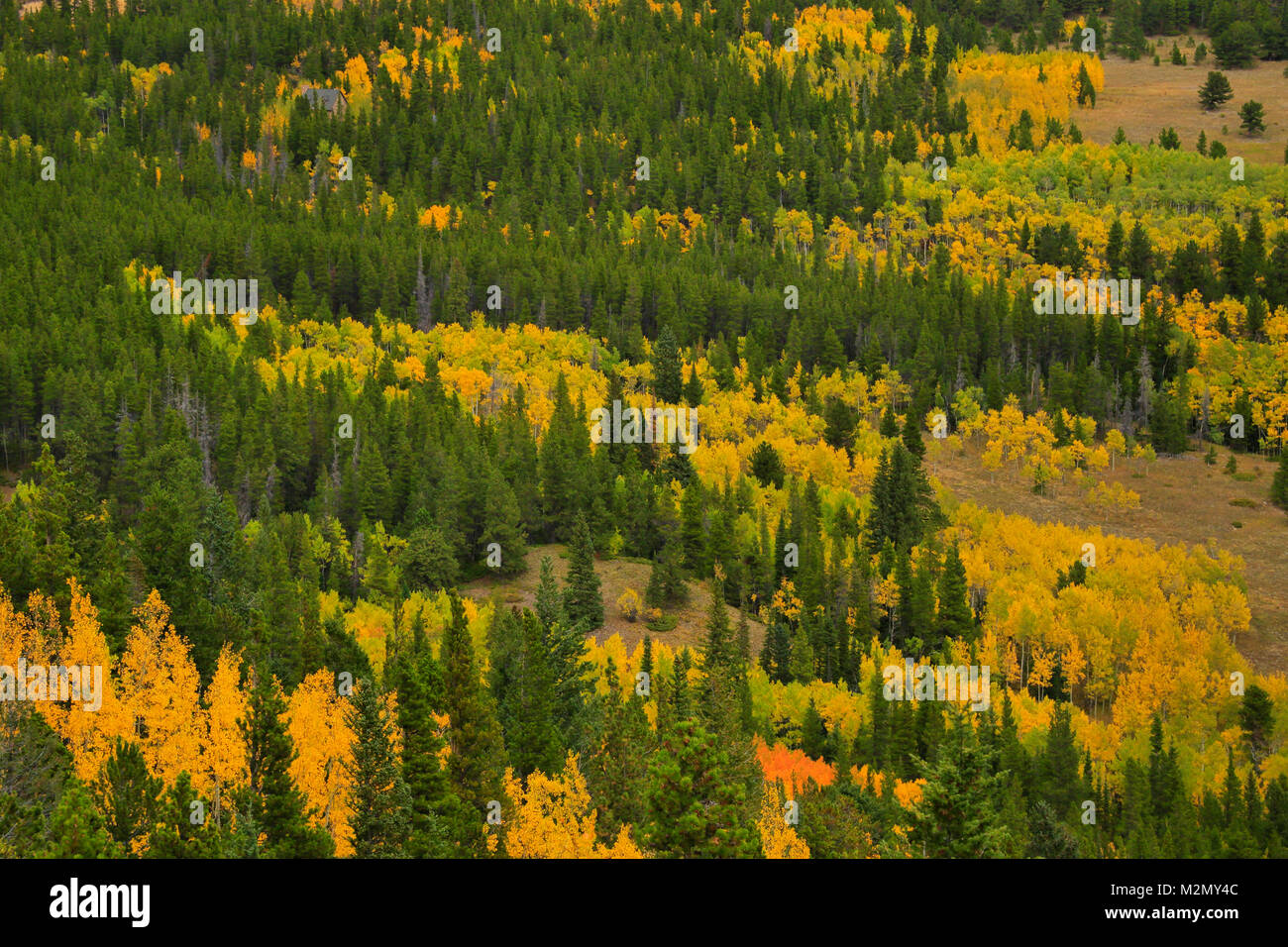 Peak to Peak Highway Near Ward, Colorado, USA Stock Photo - Alamy