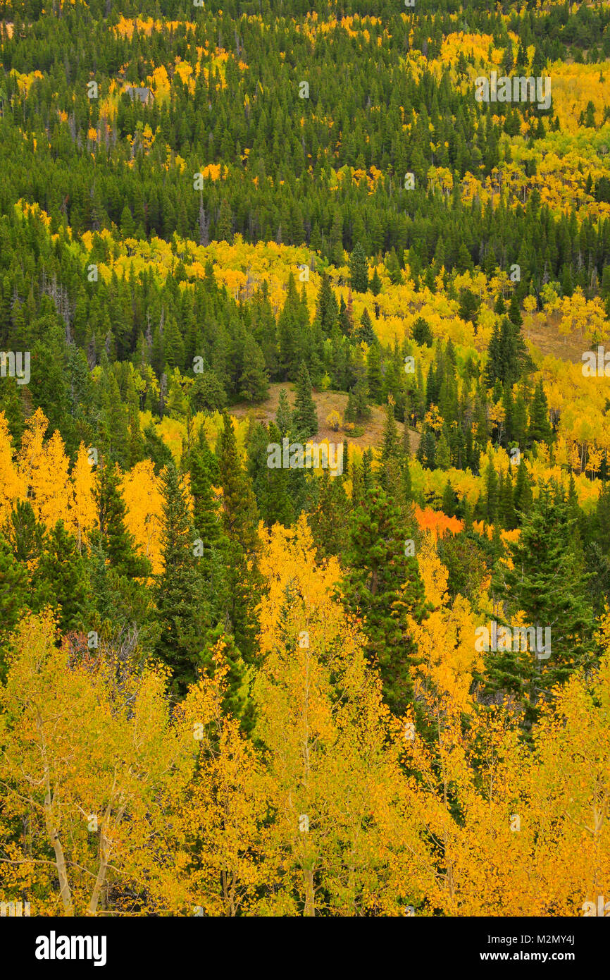 Ward colorado hi-res stock photography and images - Alamy
