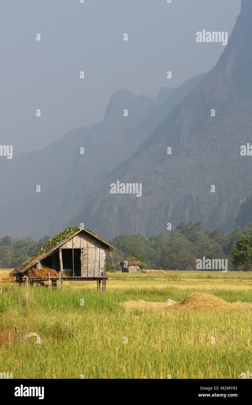 Small Rice Barn in a ricefield in a mountain region of Laos Stock Photo ...