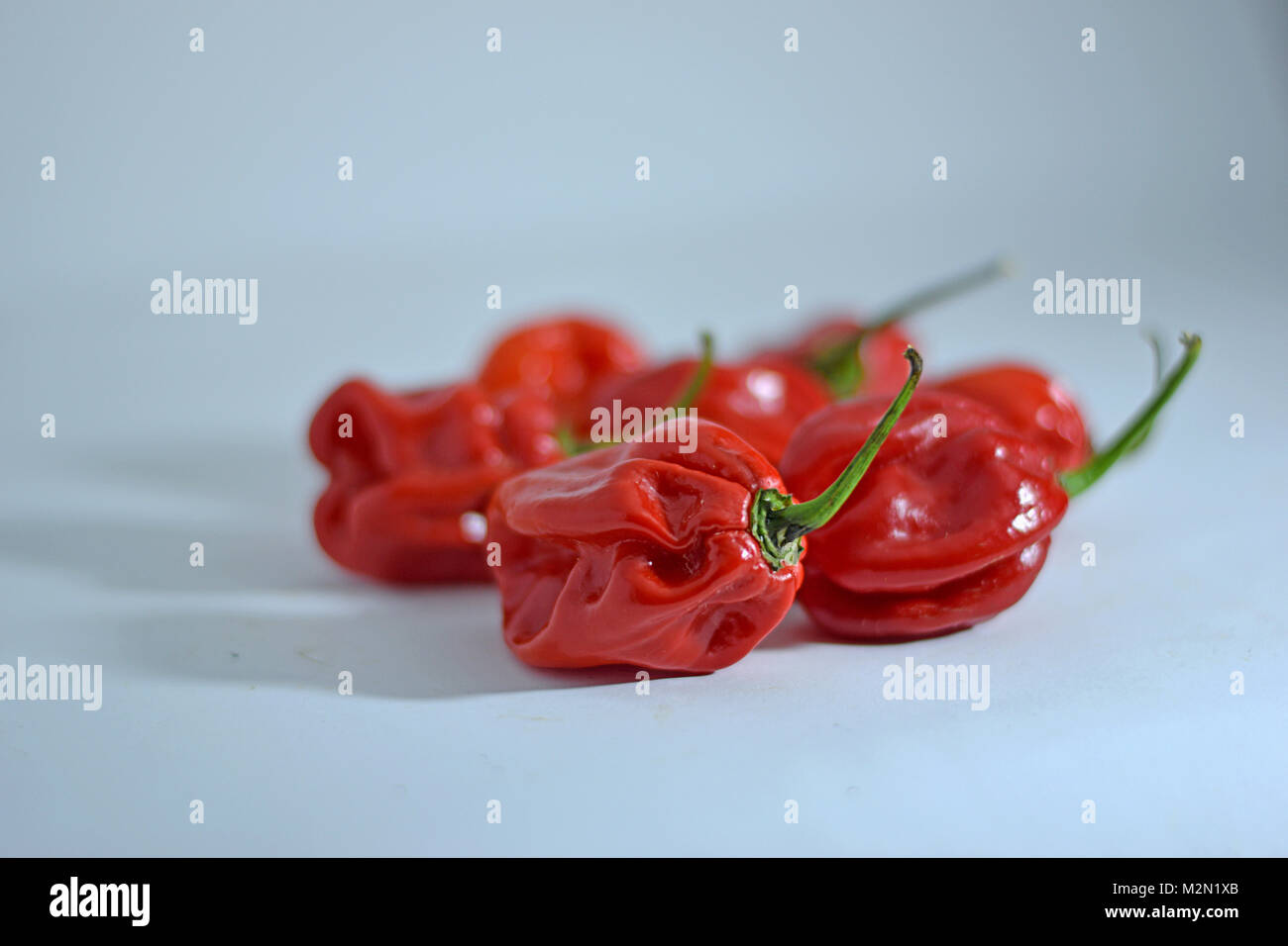 Green Chillies Restaurant High Resolution Stock Photography and Images ...