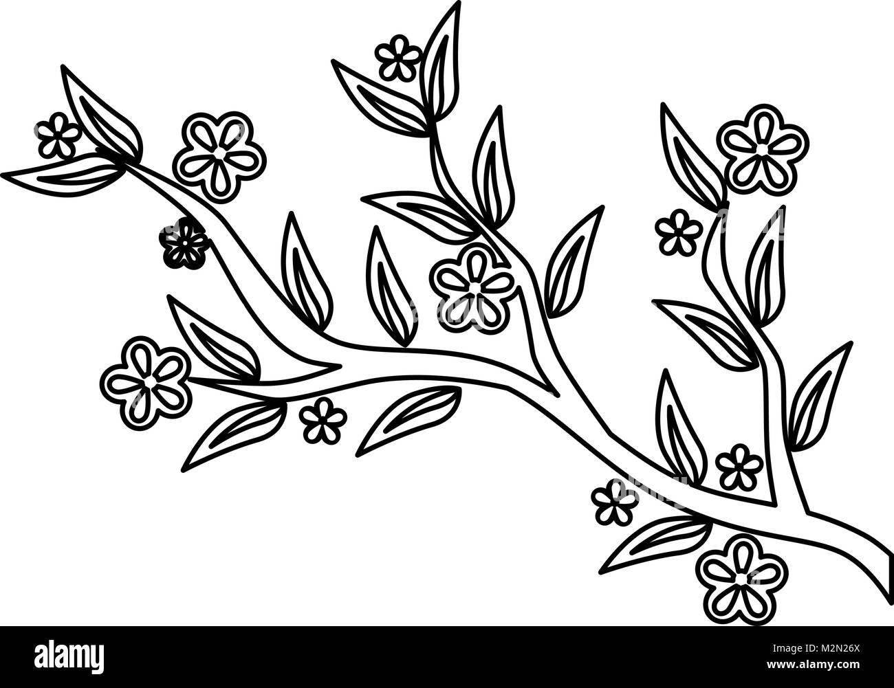 beautiful flower with branch Stock Vector Image & Art - Alamy
