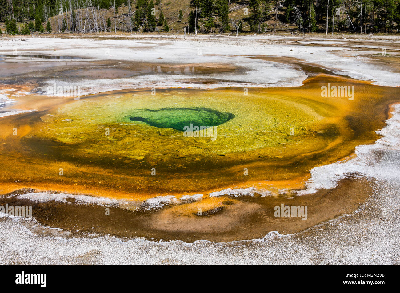 Chromatic Pool in the Upper Geyser Basin is one of the most distinctive ...