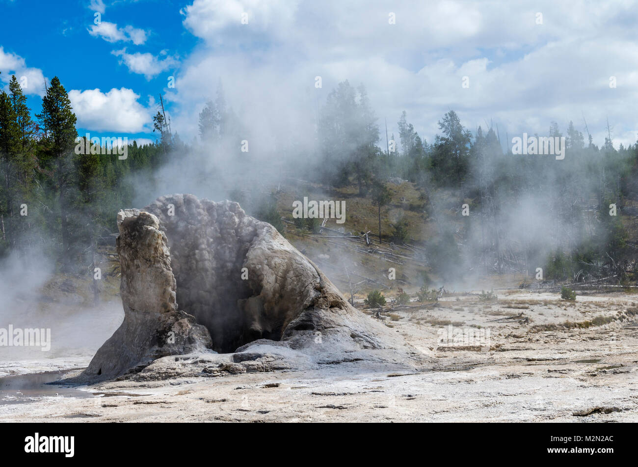 The geyserite cone of Mastiff Geyser in the Upper Geyser Basin ...