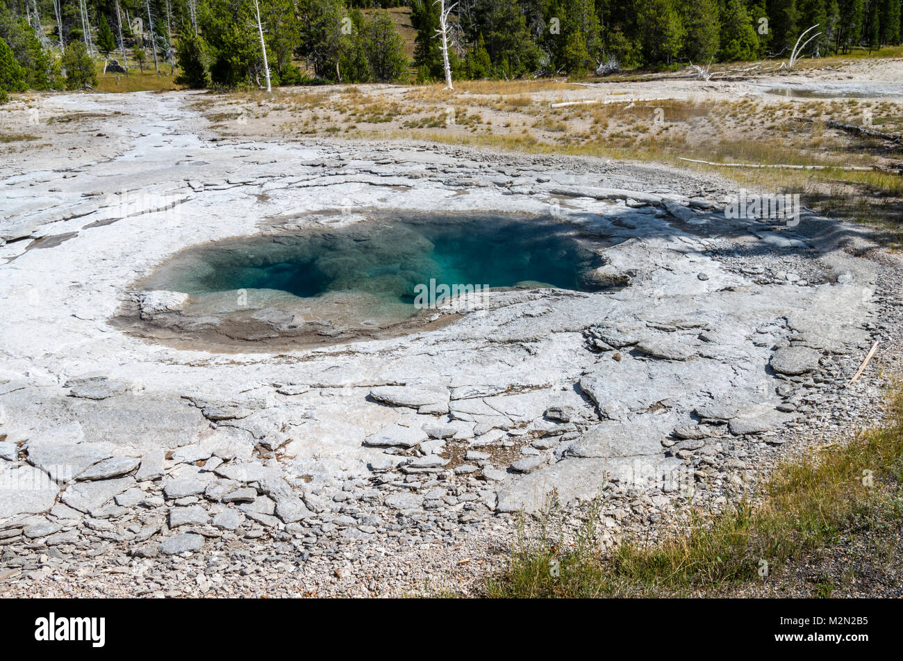 Spa Geyser in the Upper Geyser Basin is surrounded by geyserite ...