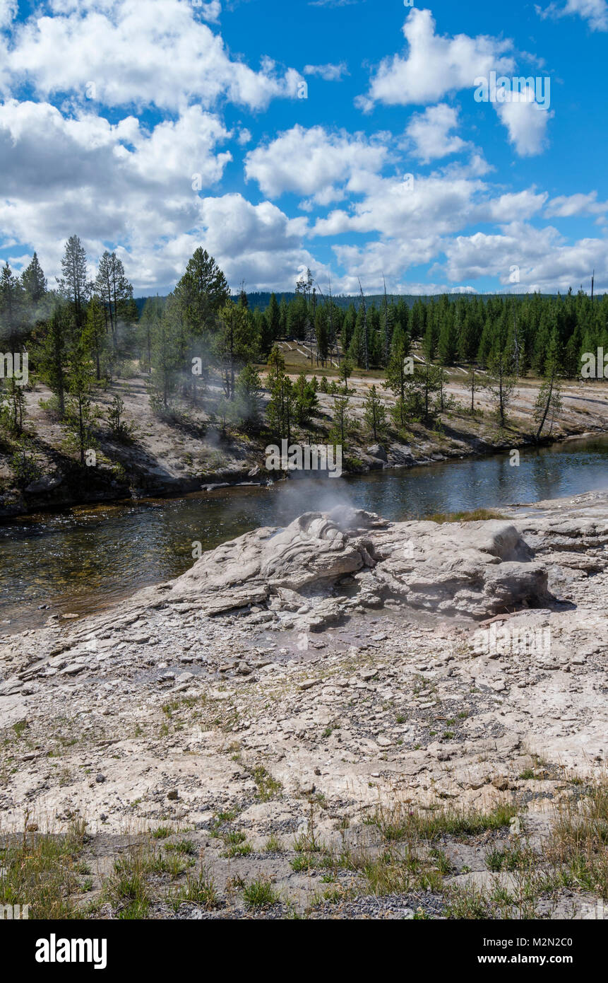Mortar Geyser on the bank of the Firehole River in the Upper Geyser ...