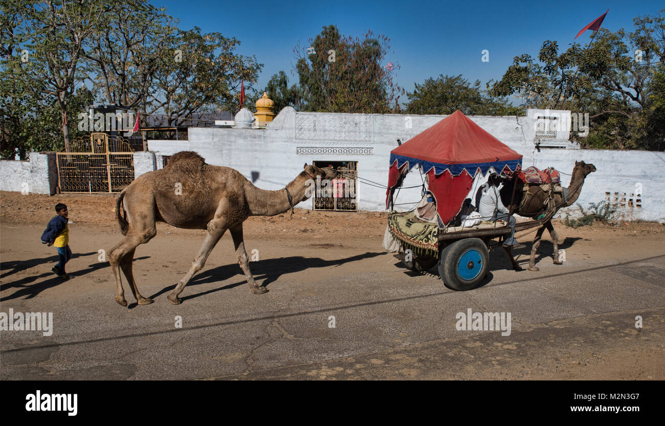 Rural village life, Pushkar, Rajasthan, India Stock Photo - Alamy