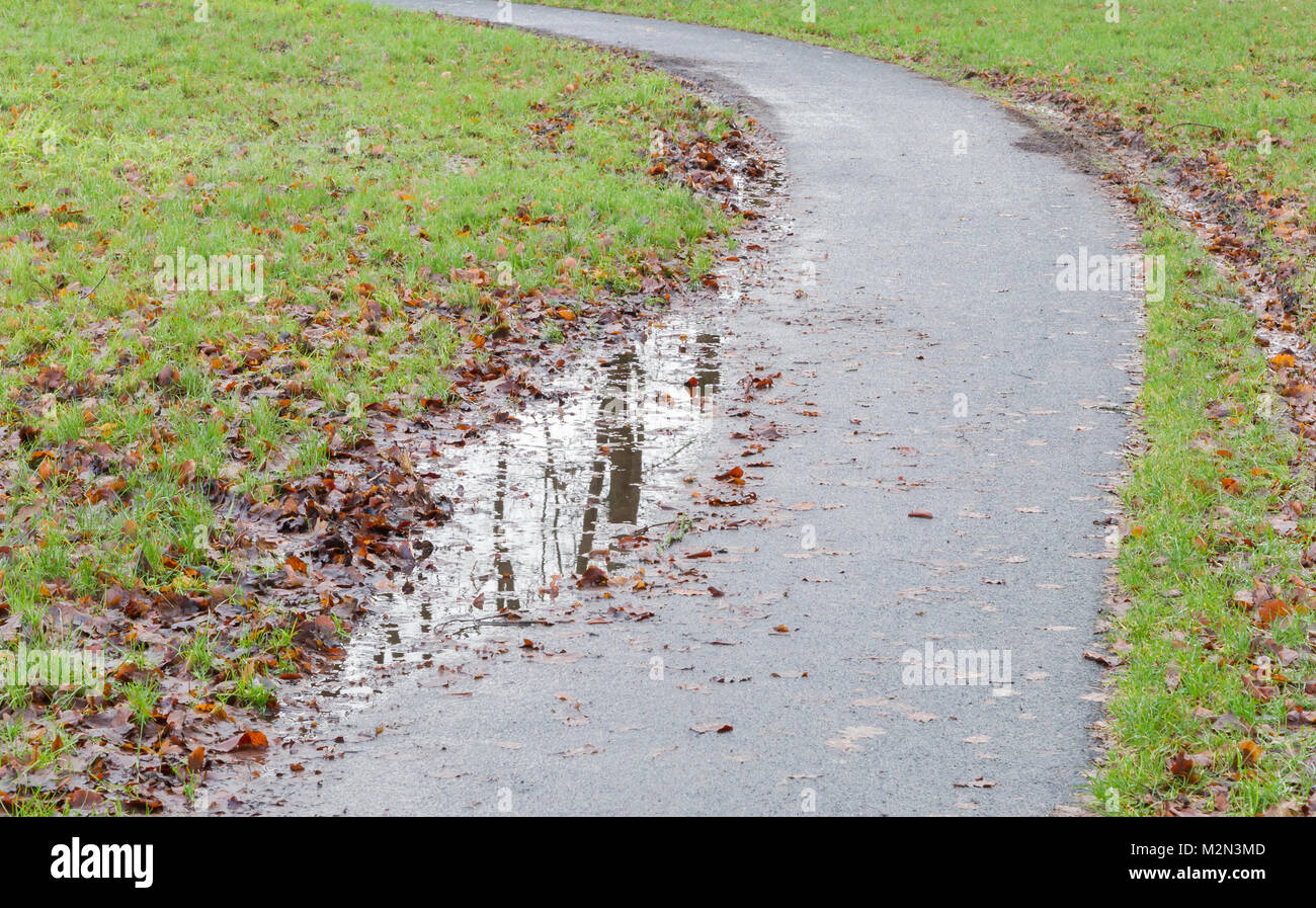 Small road in a park - Selective focus on the puddle Stock Photo - Alamy