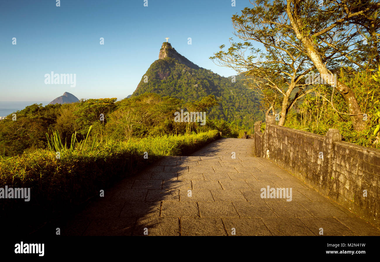 Tijuca forest national park hi-res stock photography and images - Alamy