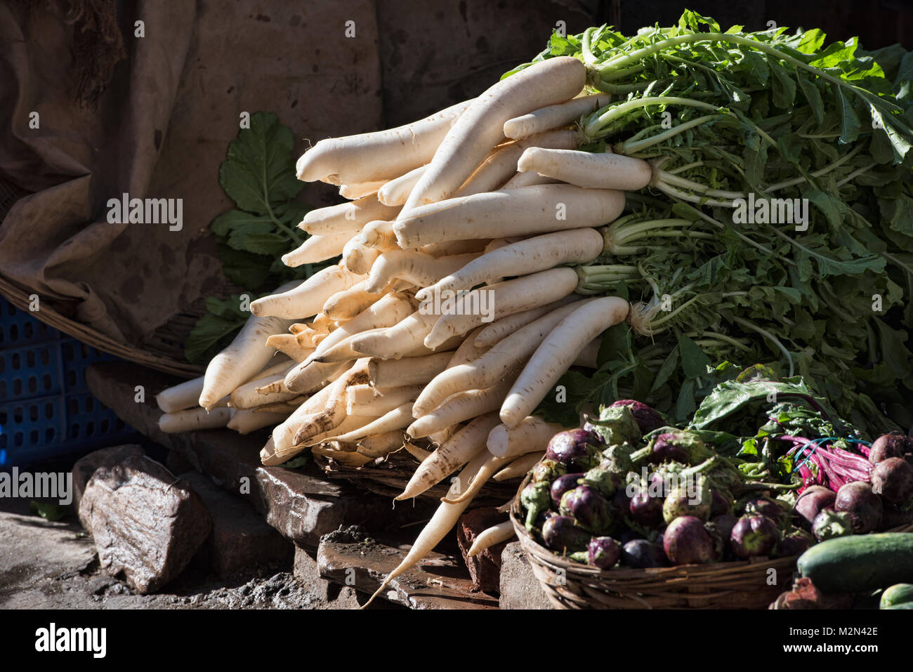 Indian white radish hi-res stock photography and images - Alamy