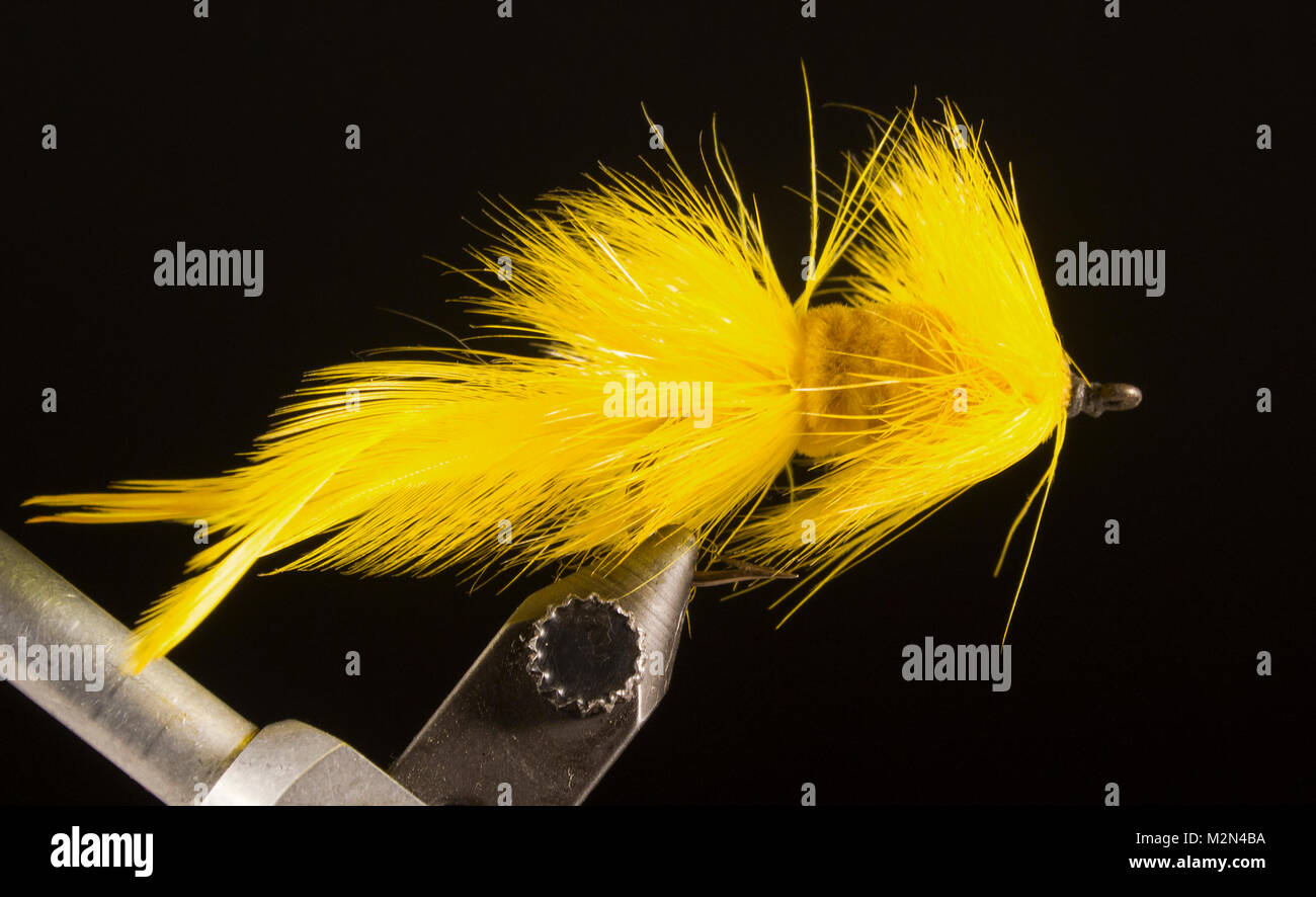 Streamer fly tying hi-res stock photography and images - Alamy