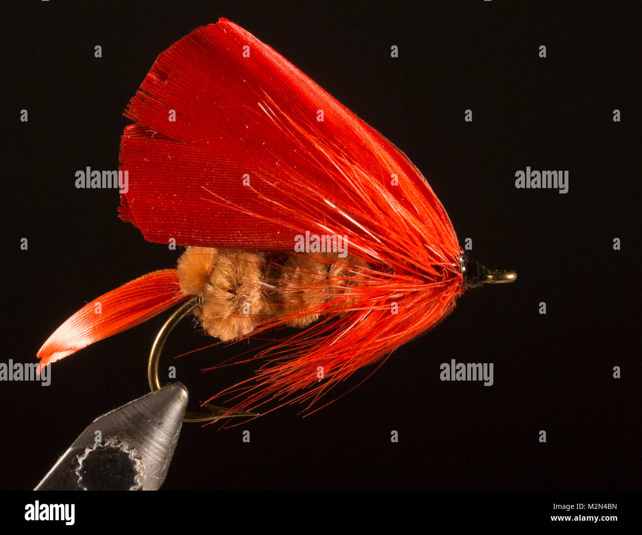 Scarlet ibis fly pattern hi-res stock photography and images - Alamy