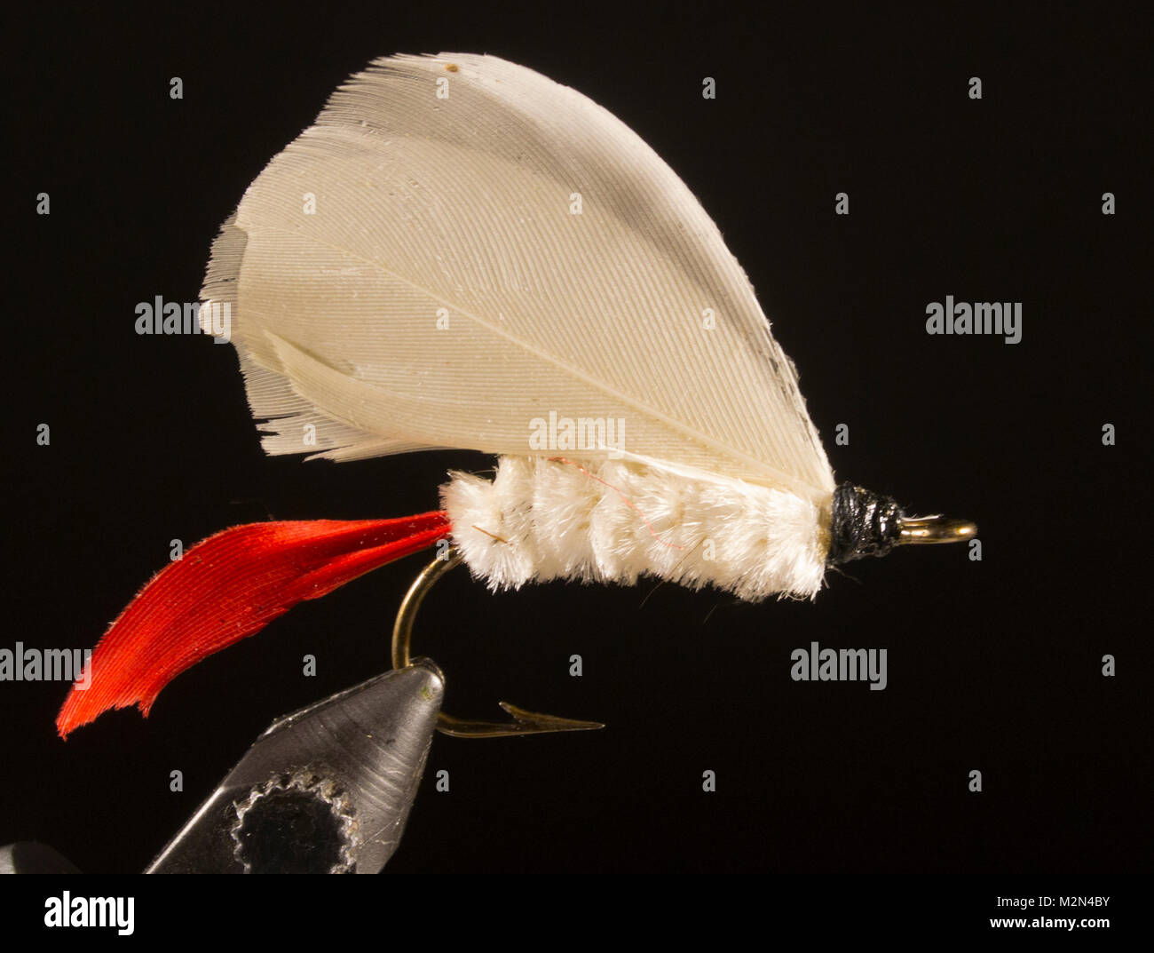 White miller fly pattern hi-res stock photography and images - Alamy