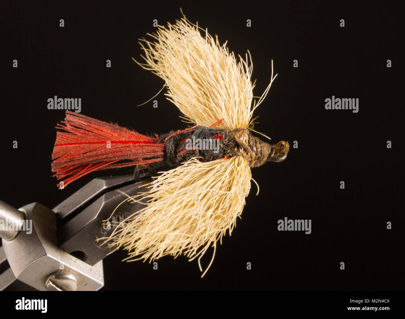 Houn hi-res stock photography and images - Alamy