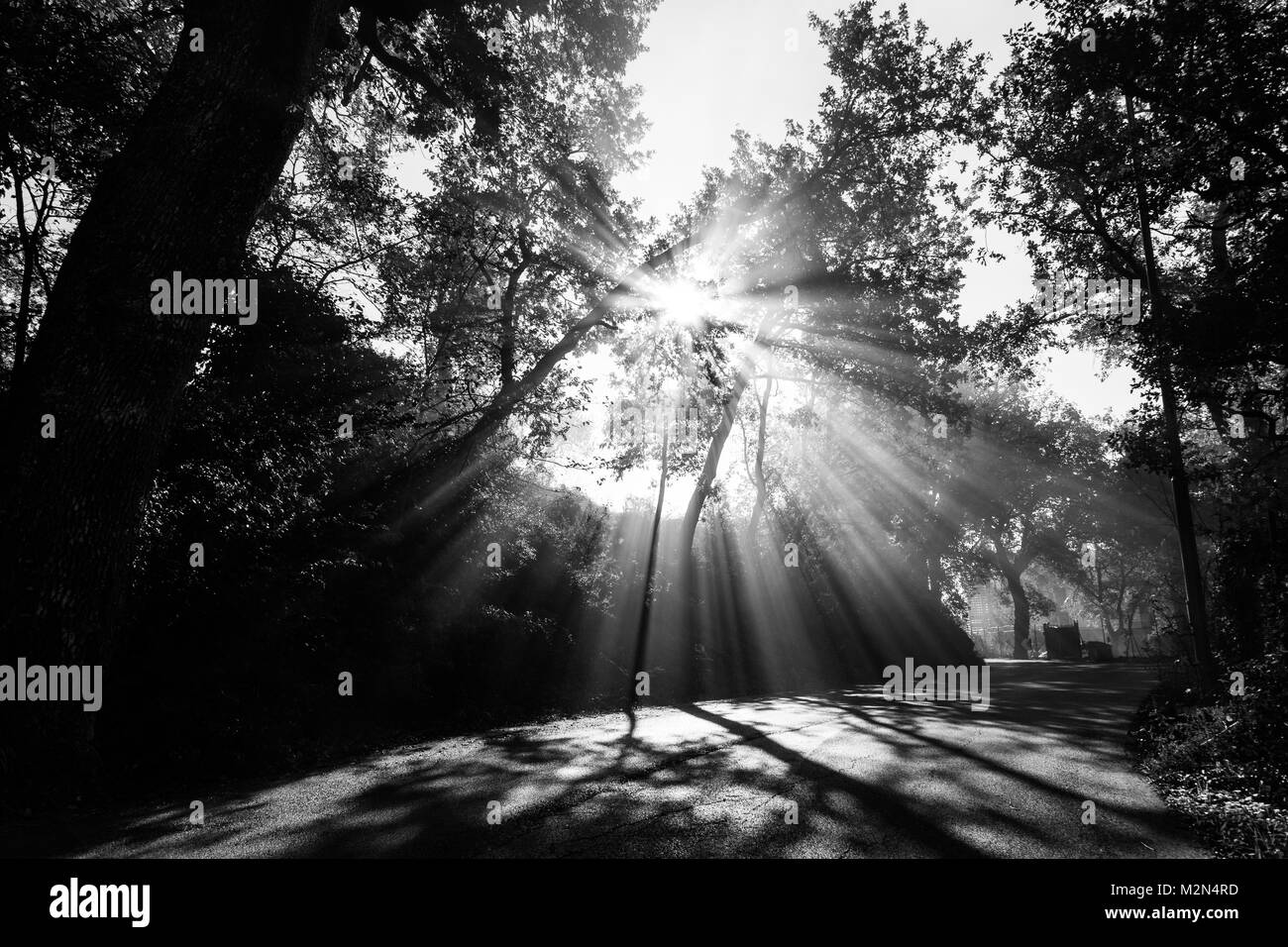 Haunting scenery hi-res stock photography and images - Alamy