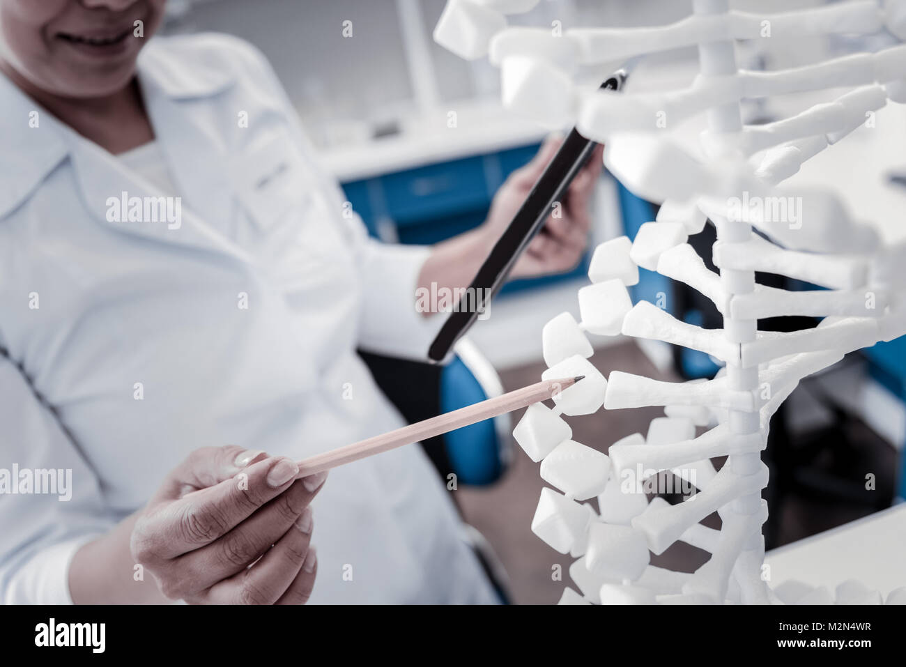 Close up of female scientist analyzing dna model Stock Photo - Alamy