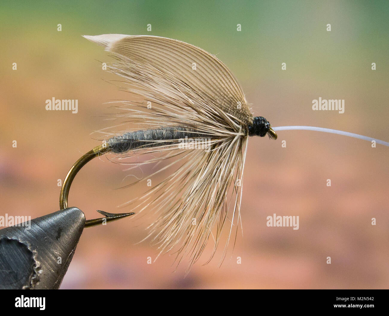 Blue dun wet fly hi-res stock photography and images - Alamy