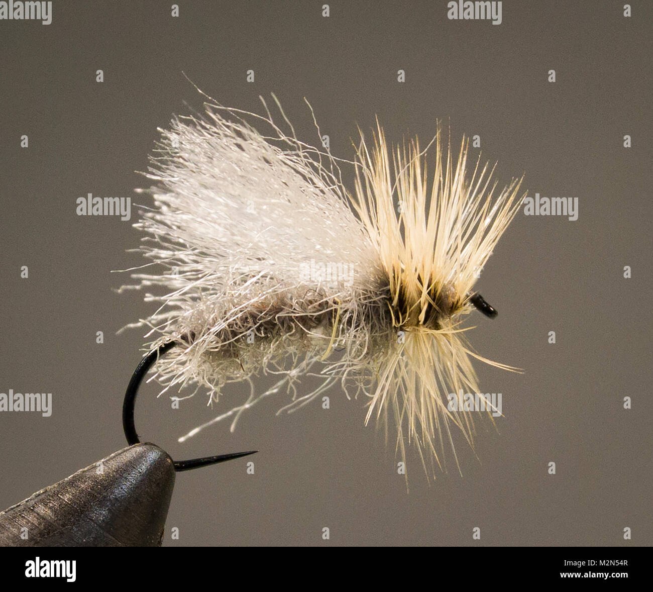 A Celtic Satin Moth dry fly Hook: #12 109BL barbless. Body: gray Antron ...