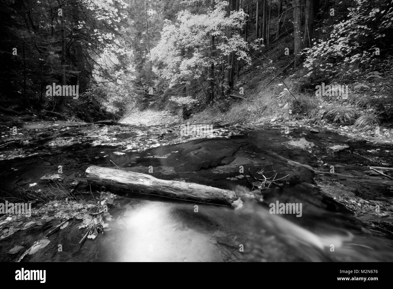 Beautiful japan river Black and White Stock Photos & Images - Alamy