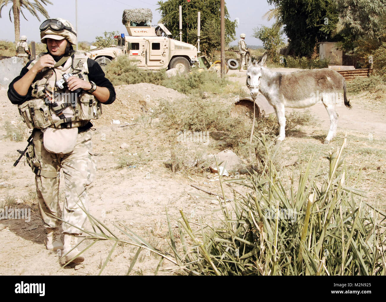 Donkey Days by United States Forces - Iraq (Inactive Stock Photo - Alamy