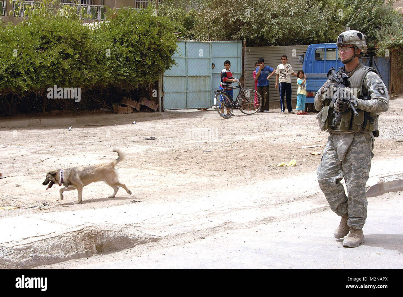 Walking the Dog by United States Forces - Iraq (Inactive Stock Photo ...