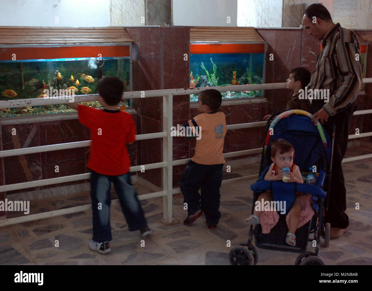 Baghdad Zoo by United States Forces - Iraq (Inactive Stock Photo - Alamy