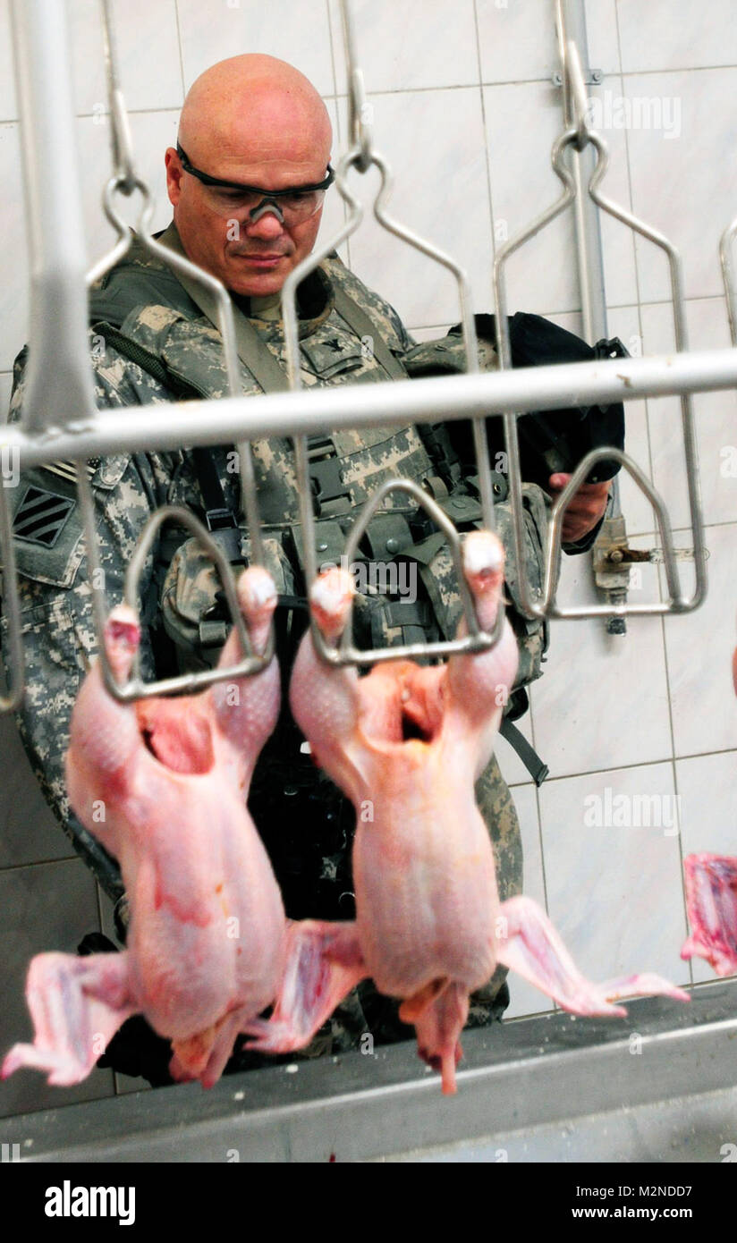 Watching chickens pass on by by 1st Armored Division and Fort Bliss ...