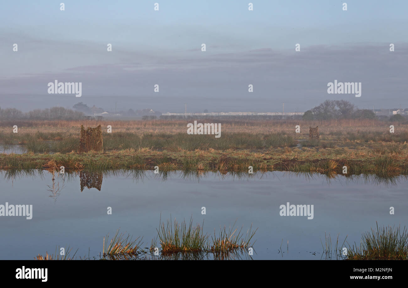 screens for hunting on marsh on Higher Level Stewardship Land, on a ...