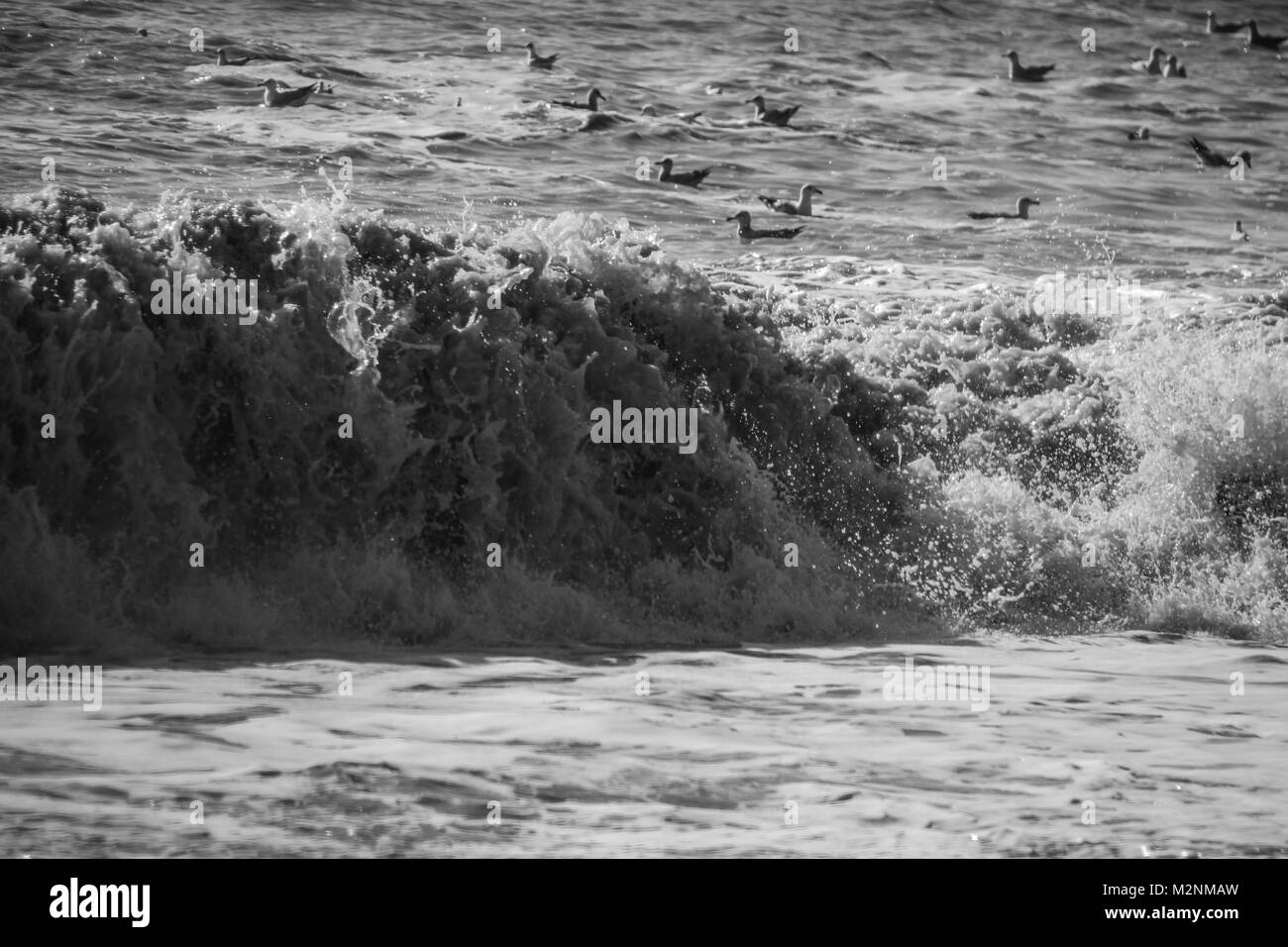 Littlehampton beach Black and White Stock Photos & Images - Alamy