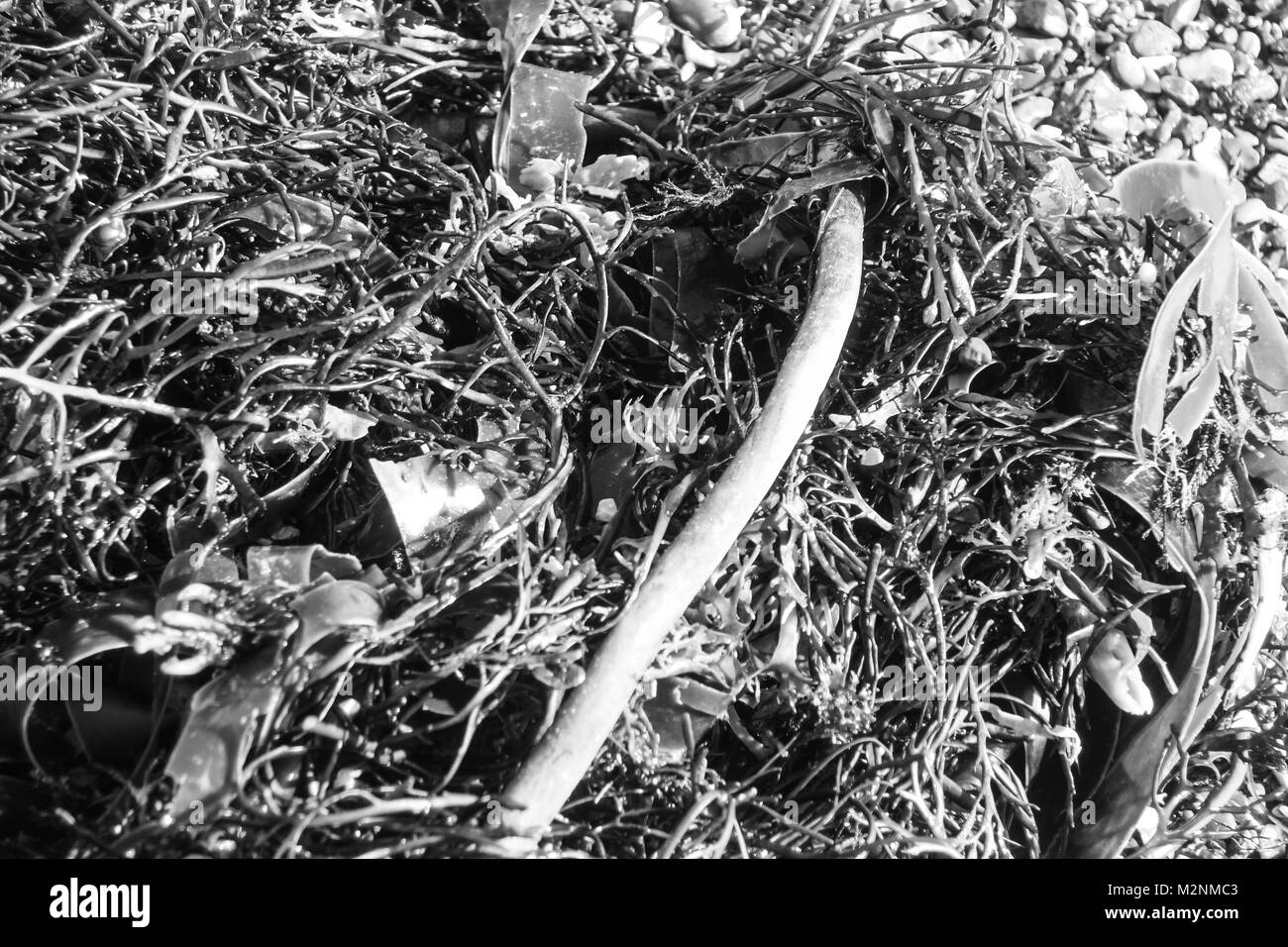 Littlehampton beach Black and White Stock Photos & Images - Alamy