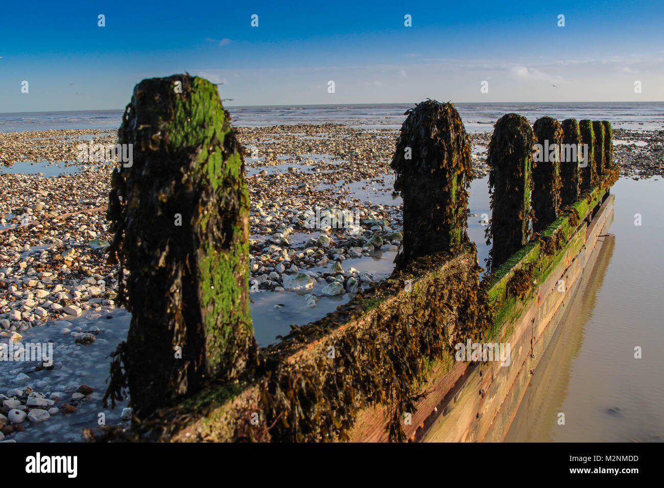 Beach and storm Stock Photo - Alamy