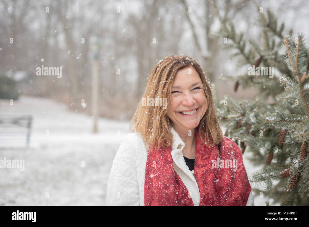 Tree face wonderland forest hi-res stock photography and images - Alamy