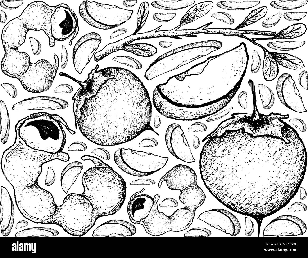 Tropical Fruits, Illustration Background of Hand Drawn Sketch Pods of ...