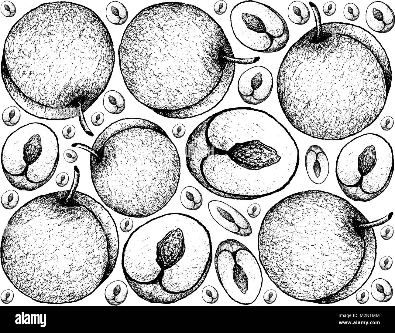 Fresh Fruits, Illustration Wallpaper Background of Hand Drawn Sketch ...