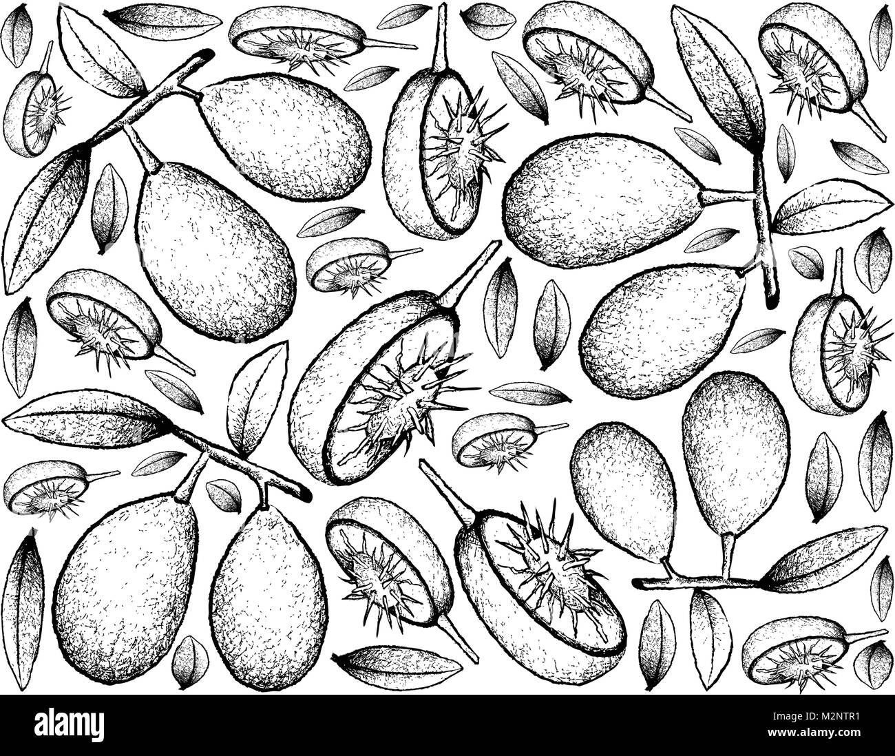 Caja manga fruit Stock Vector Images - Alamy