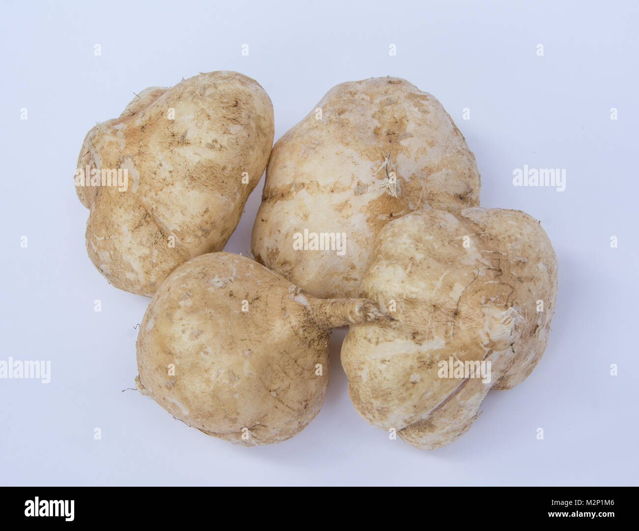 Mexican yam on white background Stock Photo - Alamy