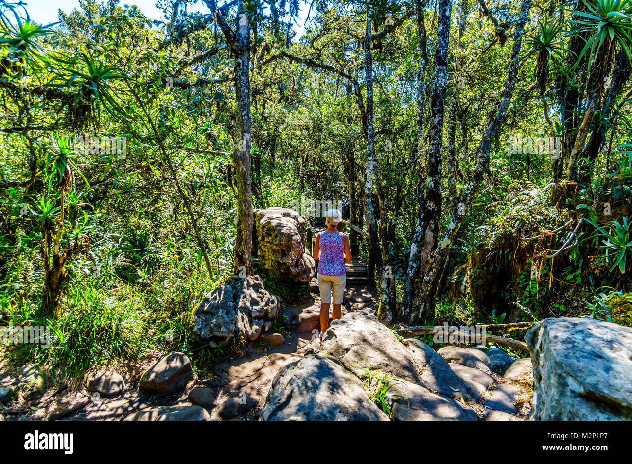 Africa bridge hi-res stock photography and images - Alamy