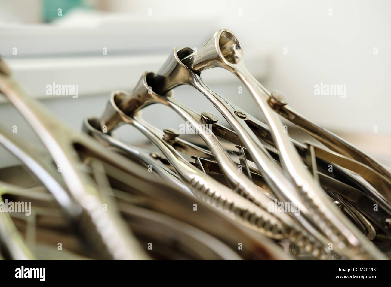 Clip in the ear High Resolution Stock Photography and Images - Alamy