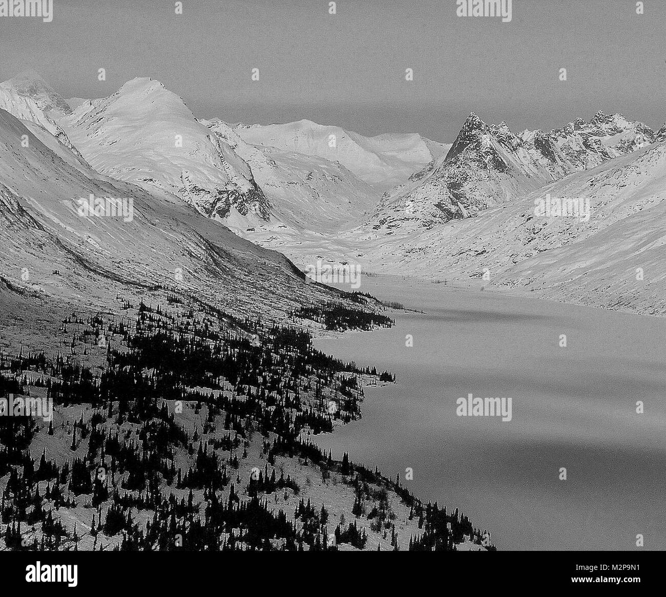 Denali national park winter Black and White Stock Photos & Images - Alamy