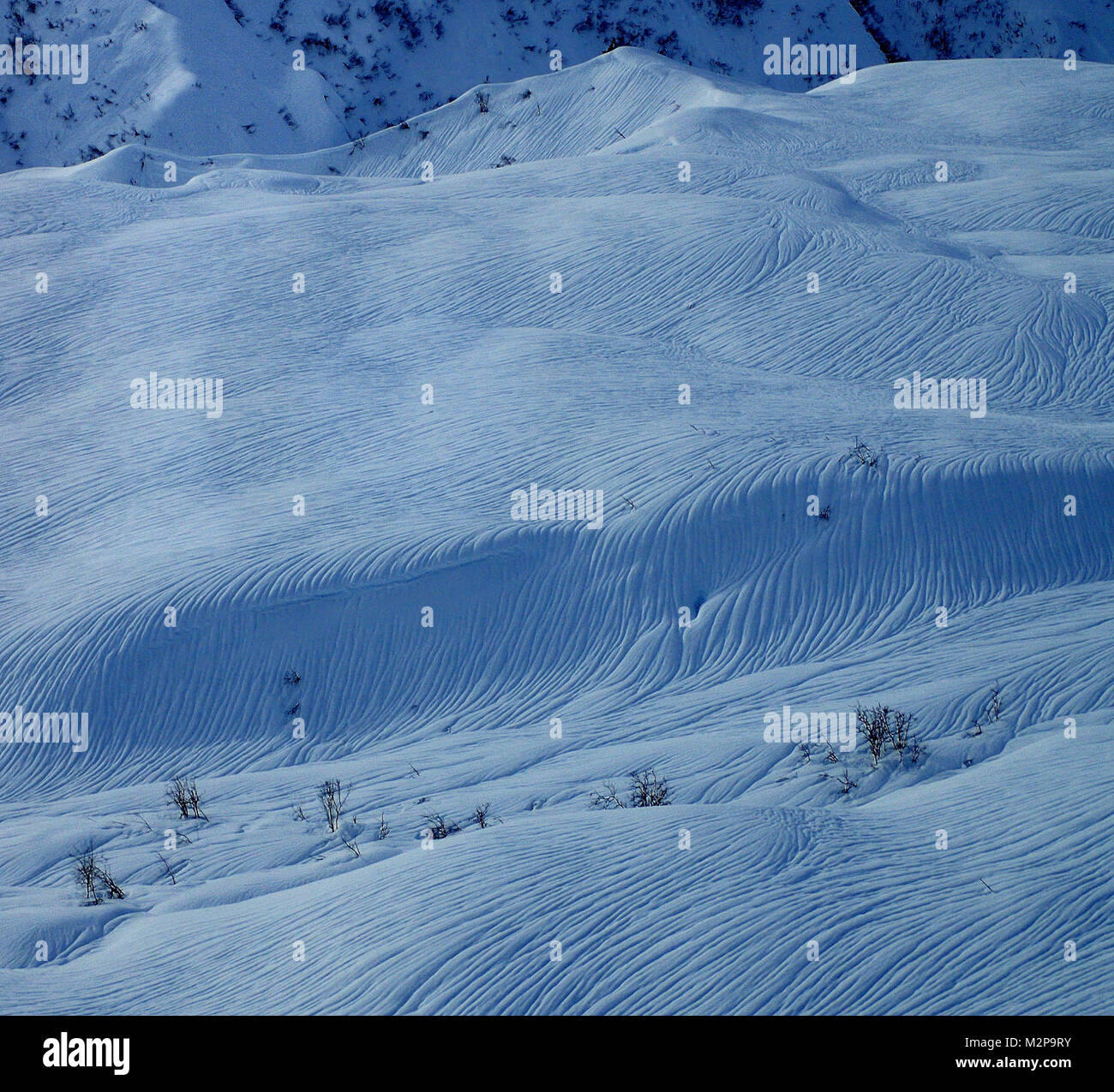 Denali National Park Rain Runnels Peters Hils Stock Photo - Alamy