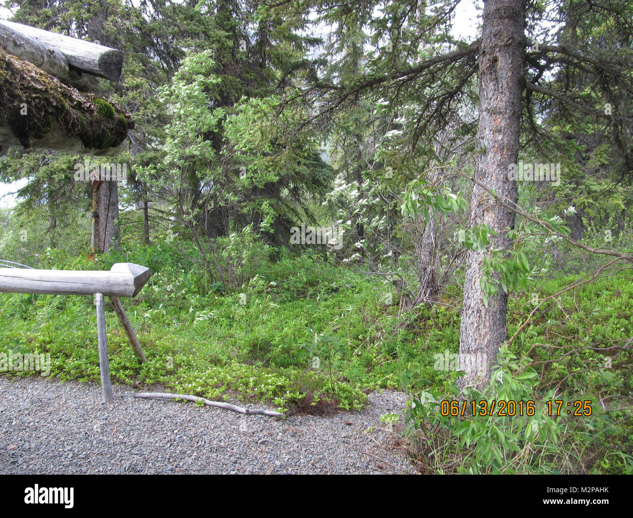 Proenneke hi-res stock photography and images - Alamy