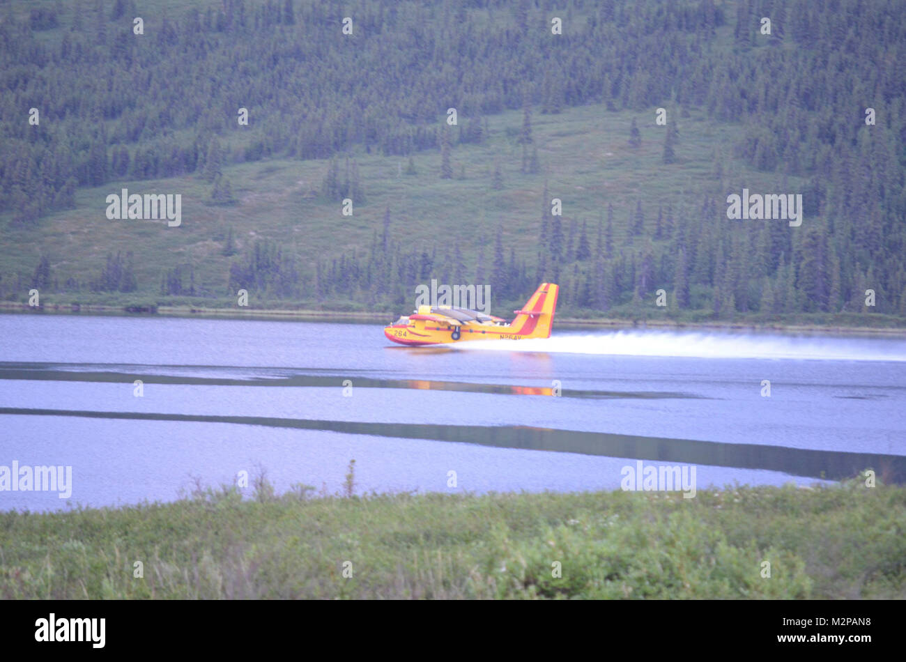 Brooker Mt Fire Suppression, Denali NP Stock Photo - Alamy