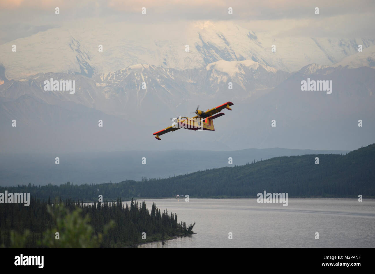 Brooker Mt Fire Suppression, Denali NP Stock Photo - Alamy