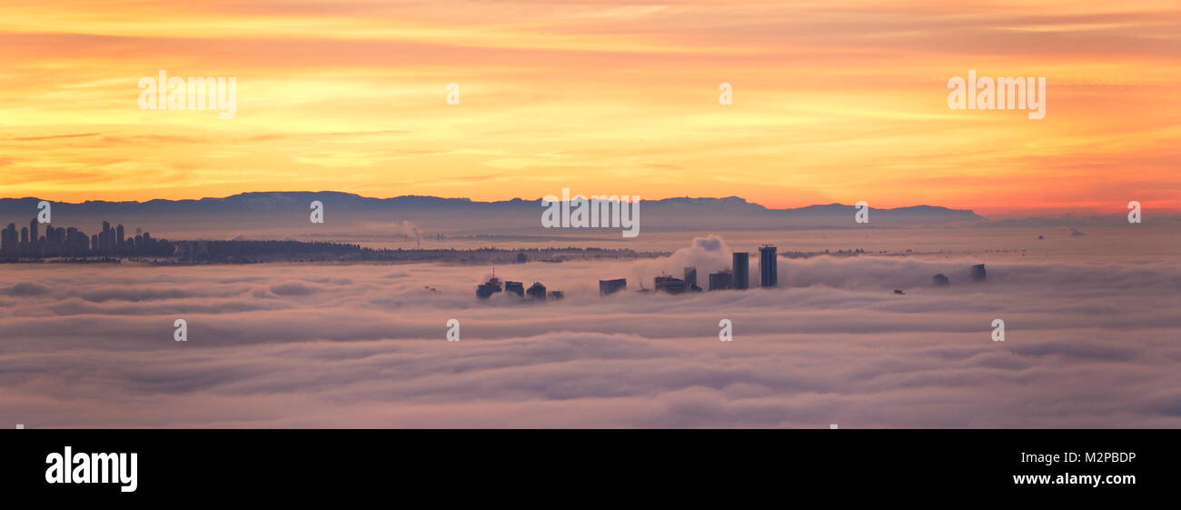 Low level fog hi-res stock photography and images - Alamy