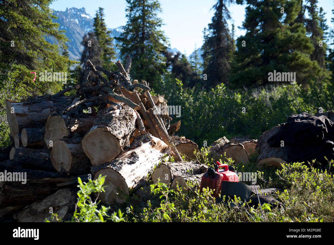 fire wood and fuel Stock Photo - Alamy