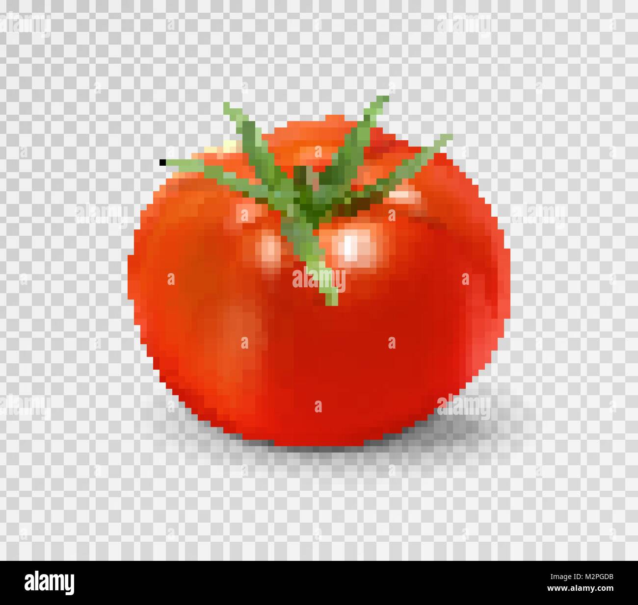 Red tomato. Realistic vector illustration Stock Vector Image & Art - Alamy