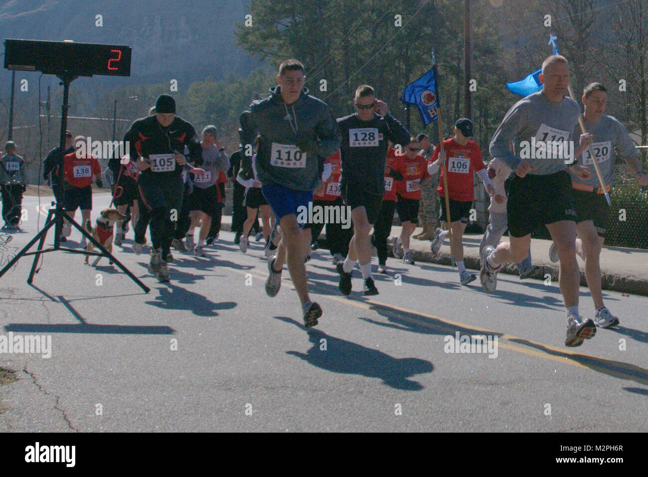 The purple pig hi-res stock photography and images - Alamy