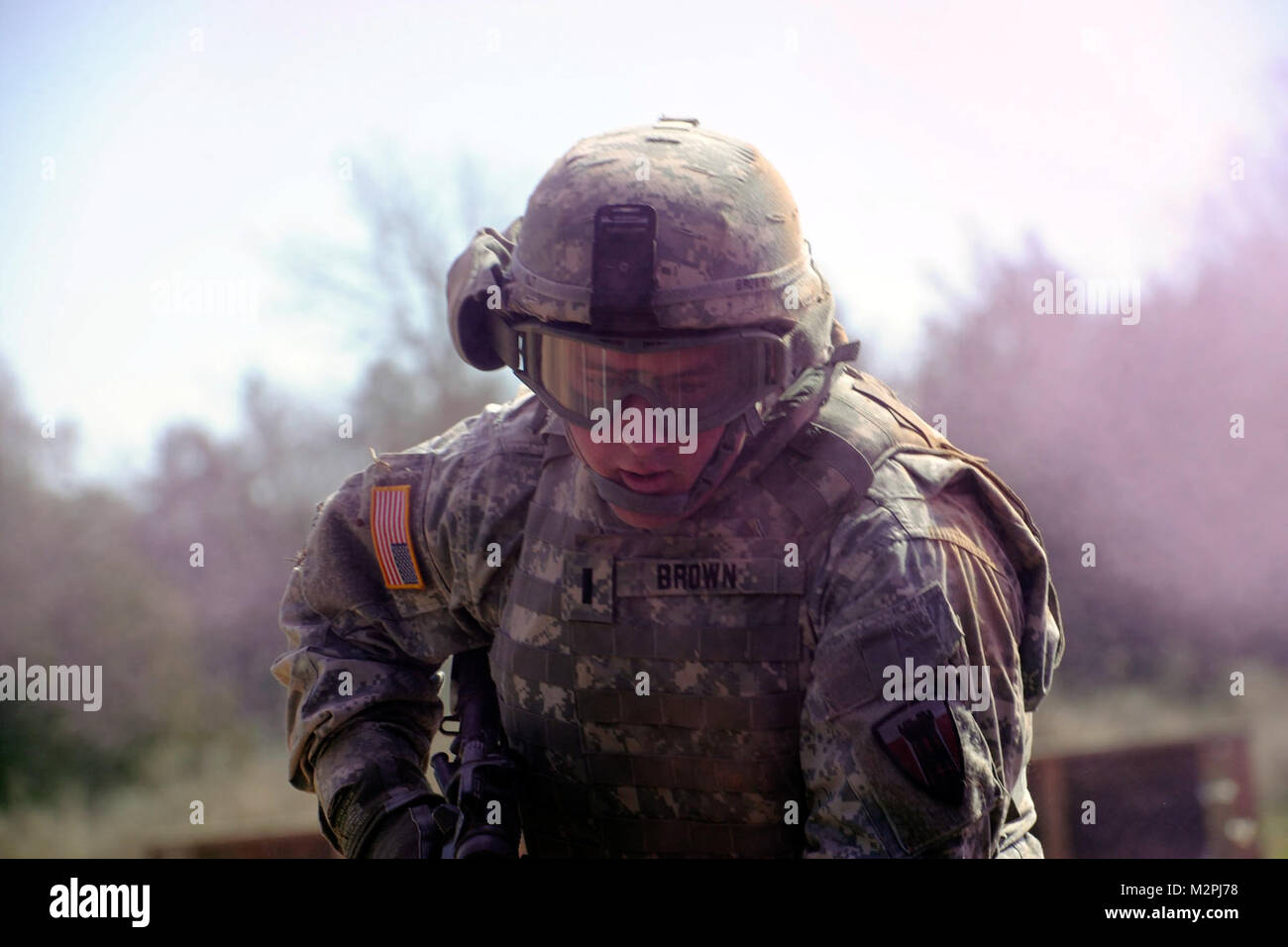 LT BROWN IMT by Texas Military Department Stock Photo - Alamy