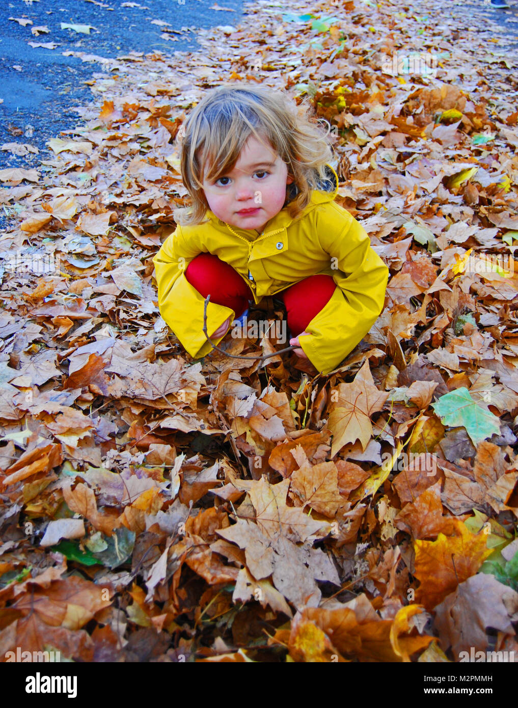 Child Crouching in Autumn Leaves Stock Photo - Alamy